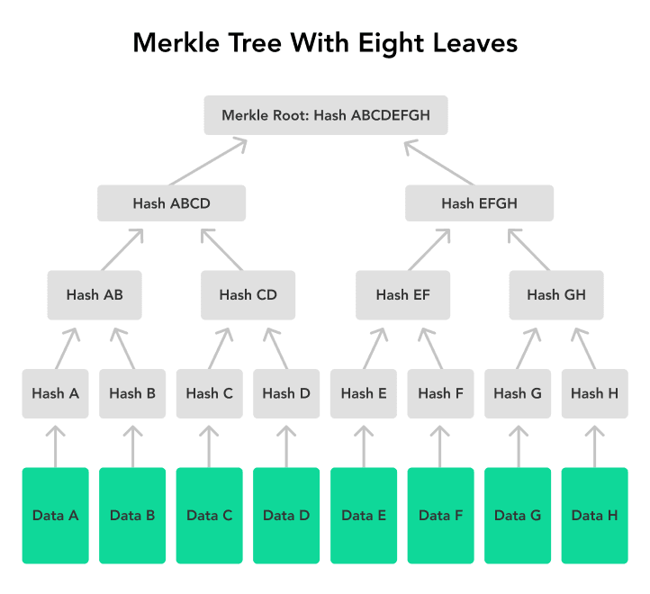 Cryptographic Tools 101 - Hash Functions and Merkle Trees